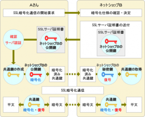 SSLサーバ証明書、どういう風に動いているの？ | BestSSL